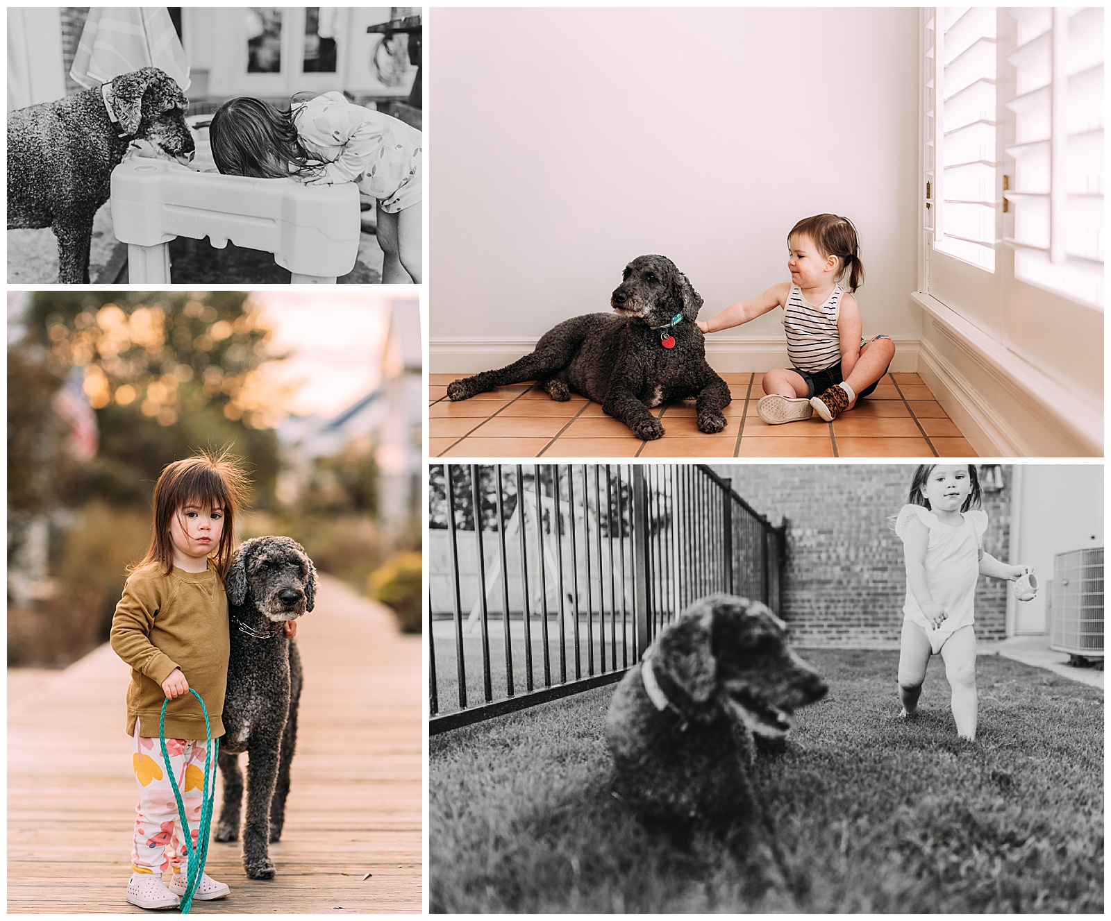 10 Tips for Completing a Photography Project 365 | OKC Photographer